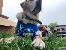 21 Years Later, We Are United In Service - The Mission Continues | The ...